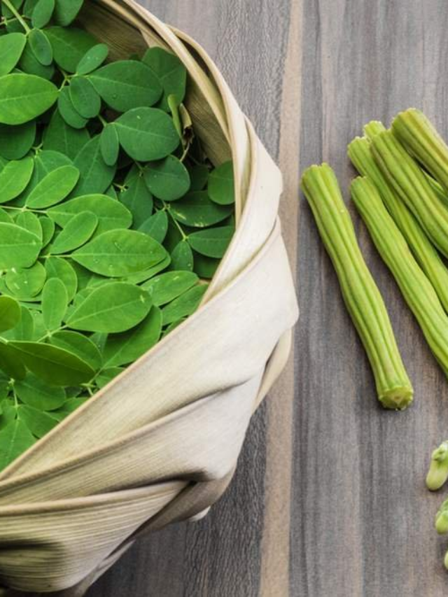 Everything You Need to Know About Moringa - Natureslandingtn