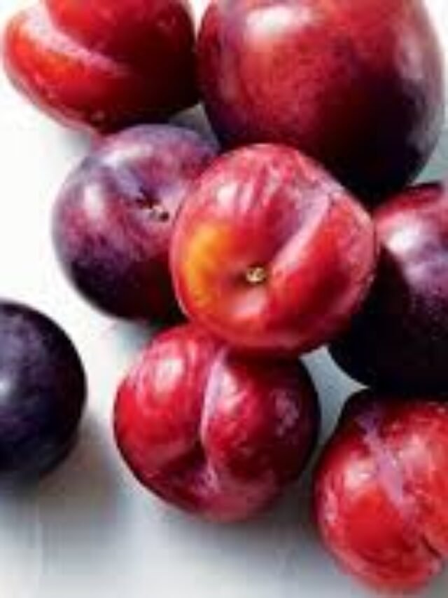 8 Surprising Facts About Plums - Natureslandingtn